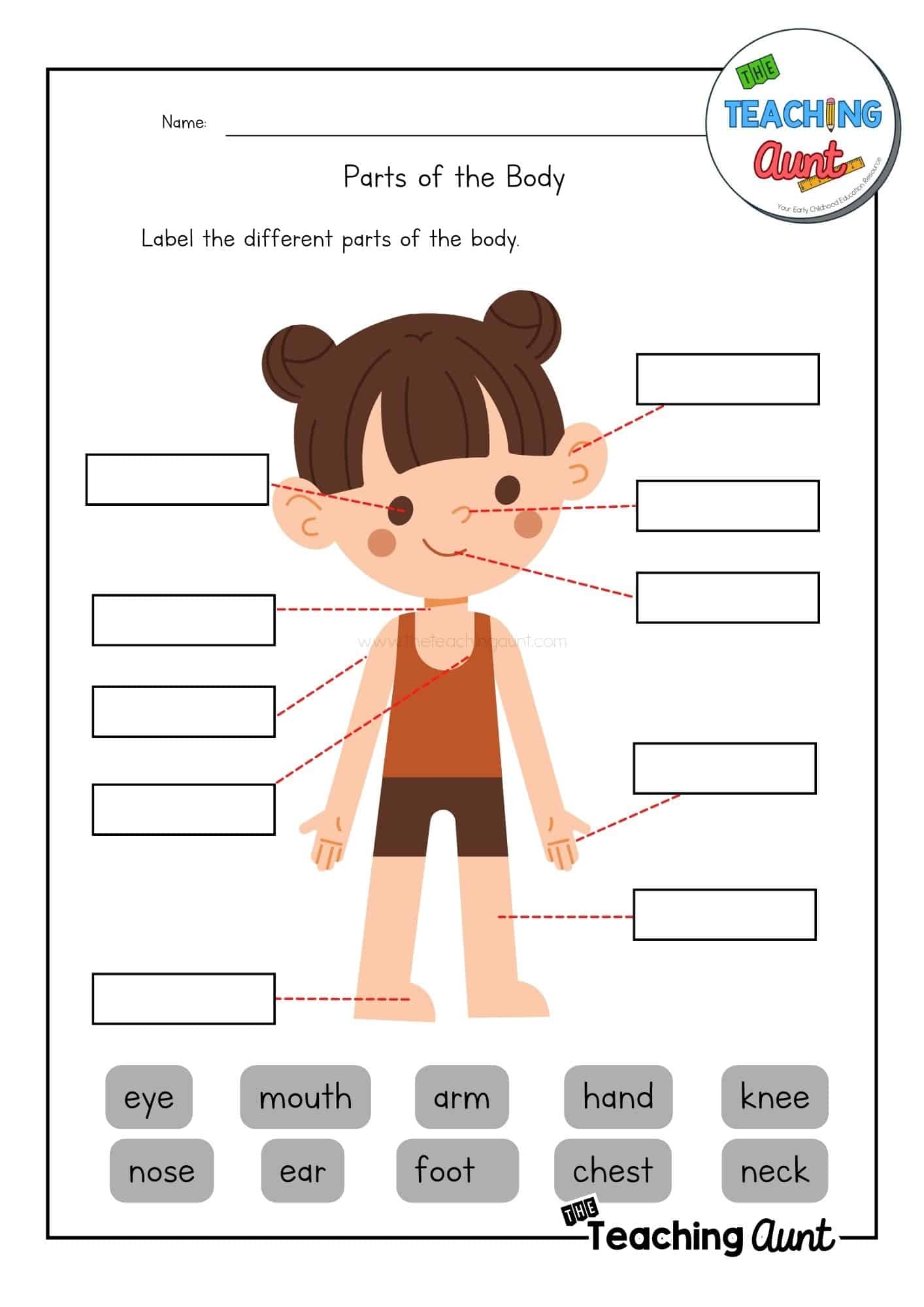 Parts Of A Body Worksheet - Parts Worksheets